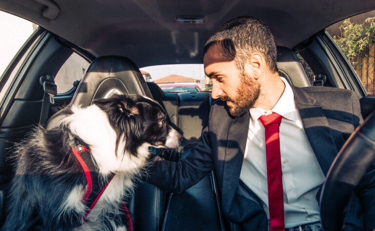 How to Communicate with Your Dog: Body Language, Tone & Training Tips ...